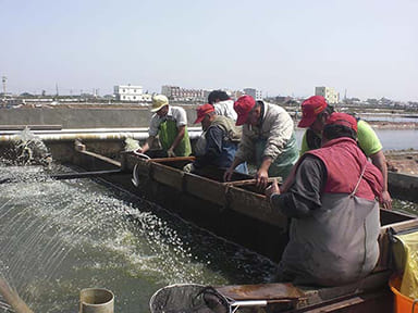 Enriching Innovation Biotech Co.,Ltd.